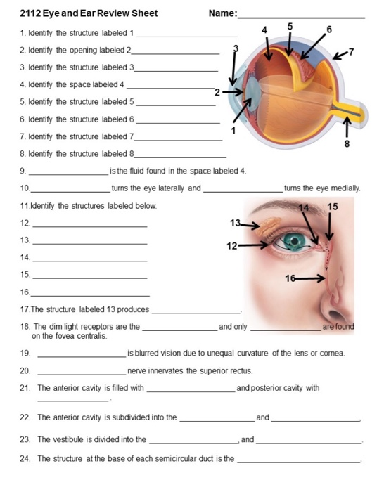 Solved 2112 Eye and Ear Review Sheet Name: 4 1. Identify the | Chegg.com