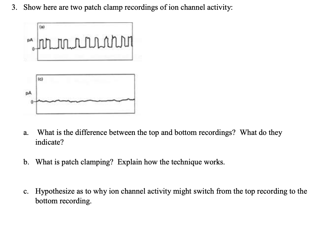 Solved 3. Show here are two patch clamp recordings of ion | Chegg.com