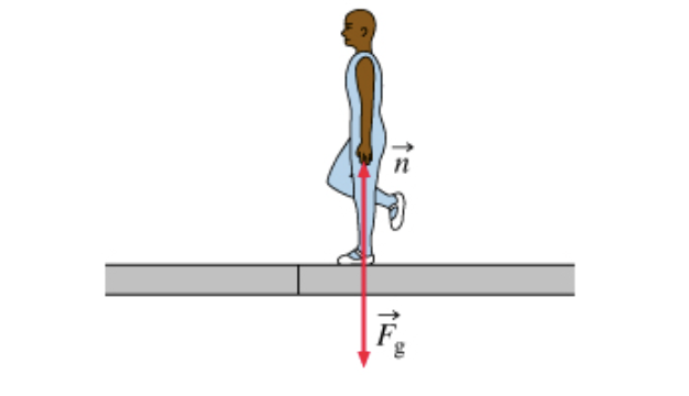 Solved A dancer is standing on one leg on a drawbridge that | Chegg.com