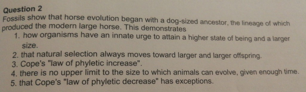 Solved Question 2 Fossils show that horse evolution began | Chegg.com