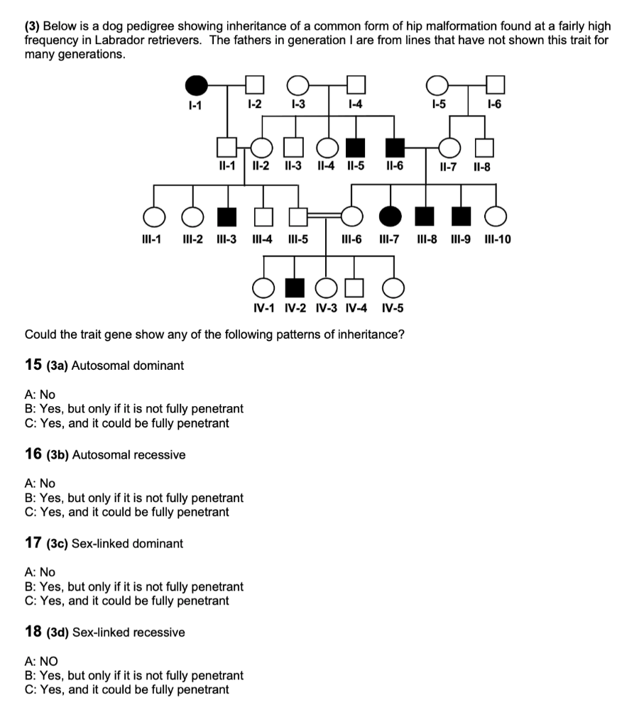 Solved (3) Below is a dog pedigree showing inheritance of a | Chegg.com