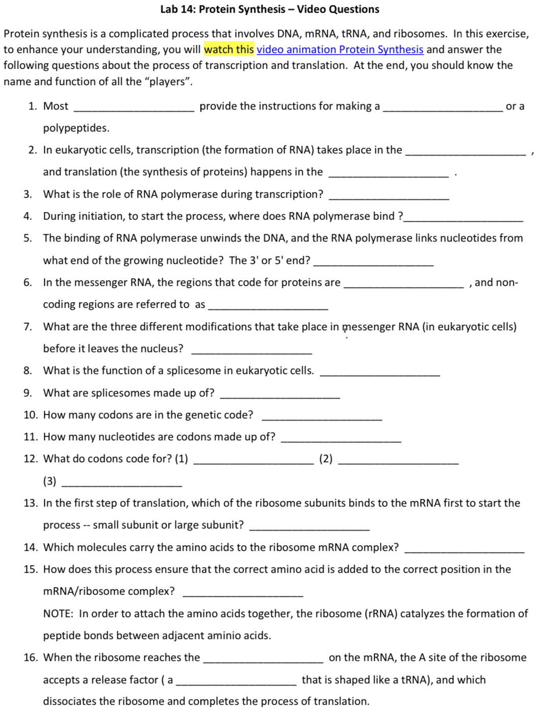 Solved Lab 14: Protein Synthesis - ﻿Video QuestionsProtein | Chegg.com