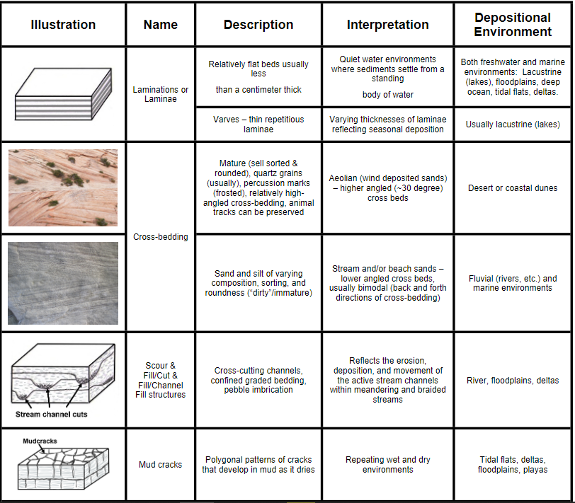 Solved Record of sea-level Rock Type Rock | Chegg.com