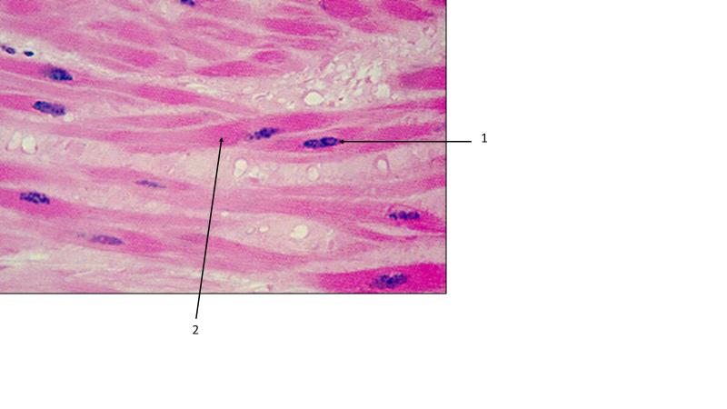 Solved Pleasse answer all of them and explain why you chose | Chegg.com