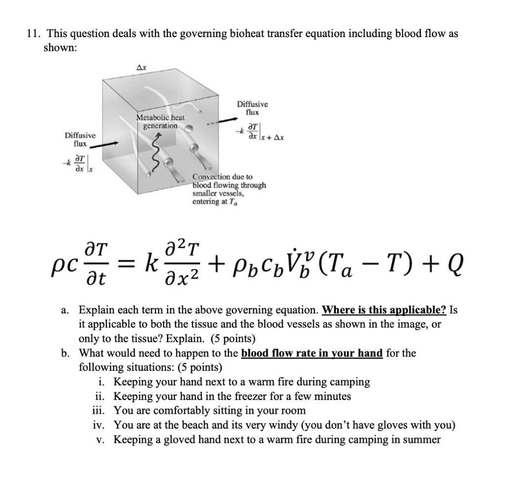 Solved 11. This question deals with the governing bioheat | Chegg.com