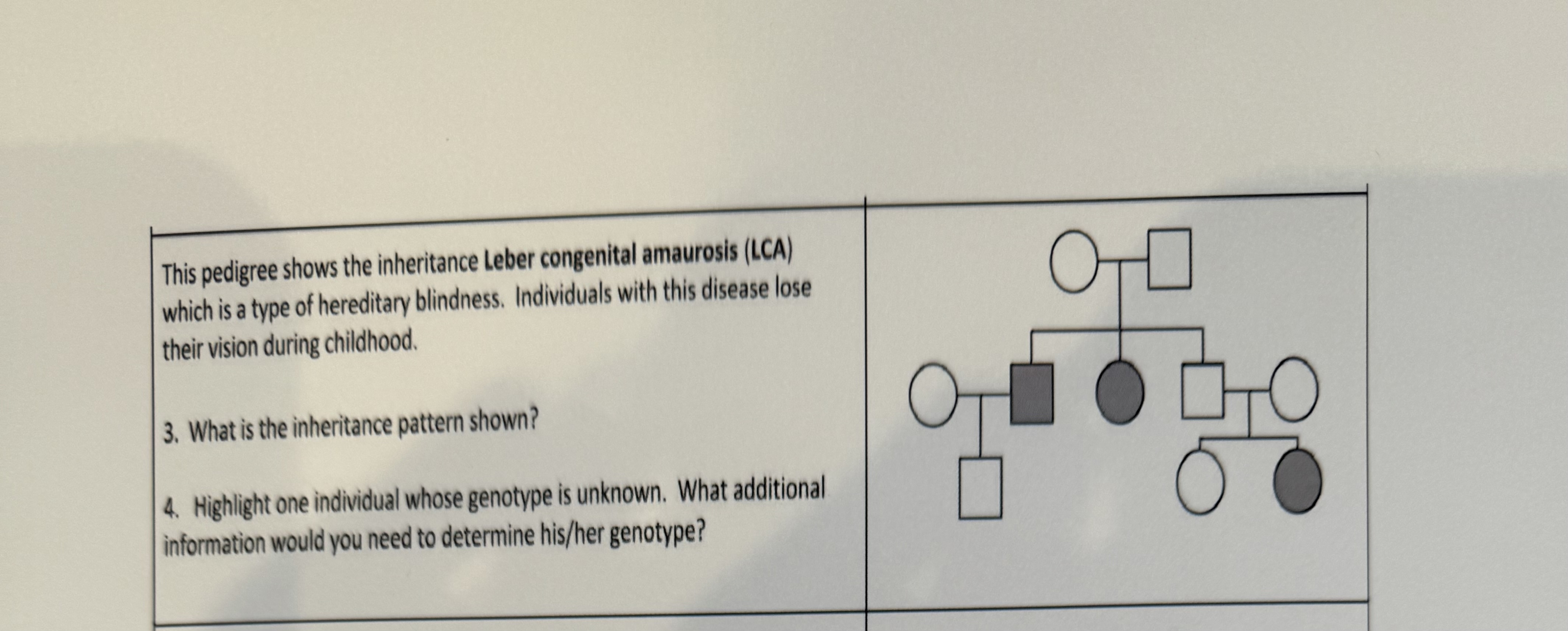 Solved This pedigree shows the inheritance Leber congenital | Chegg.com