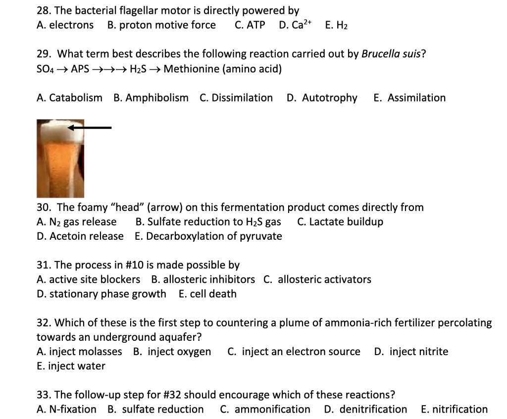 Solved 28. The bacterial flagellar motor is directly powered | Chegg.com