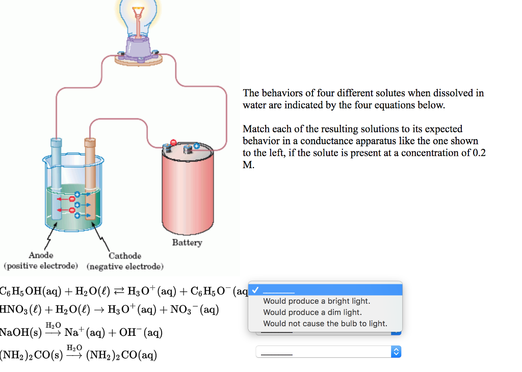 Solved The compound cobalt(II) bromide is a strong | Chegg.com
