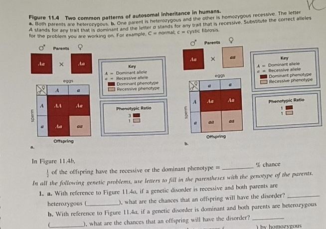 Solved Figure 11.4 ﻿Two common patterns of autosomal | Chegg.com