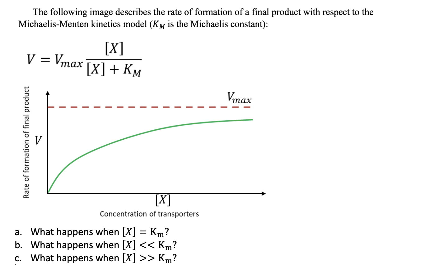 Solved The following image describes the rate of formation | Chegg.com