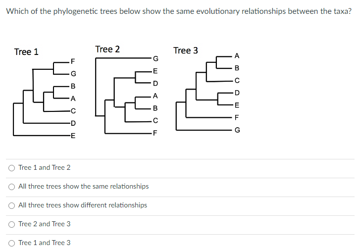 Solved Which of the phylogenetic trees below show the same | Chegg.com