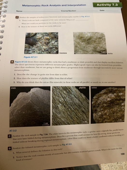 Solved Metamorphic Rock Analysis and Interpretation Activity | Chegg.com