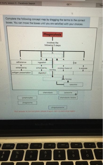 Solved Complete the following concept map by dragging the | Chegg.com