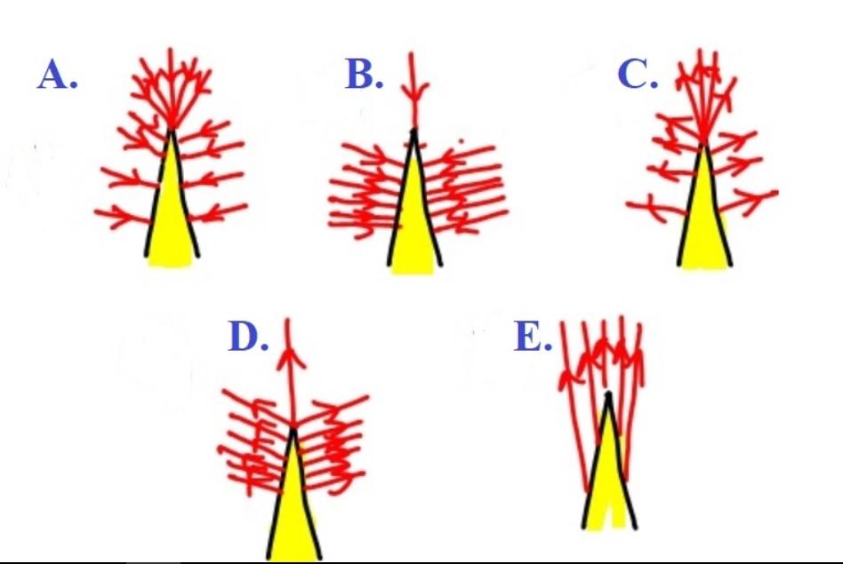 Solved Pointy Conductor -- Which response best represents | Chegg.com