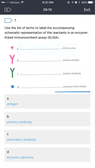 Solved Use the list of terms to label the accompanying | Chegg.com