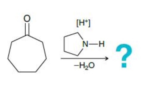 Solved HO-NH2 -H20 [H*1 H2N-NH2 -H20 N-H 2 H20 2 H2O | Chegg.com