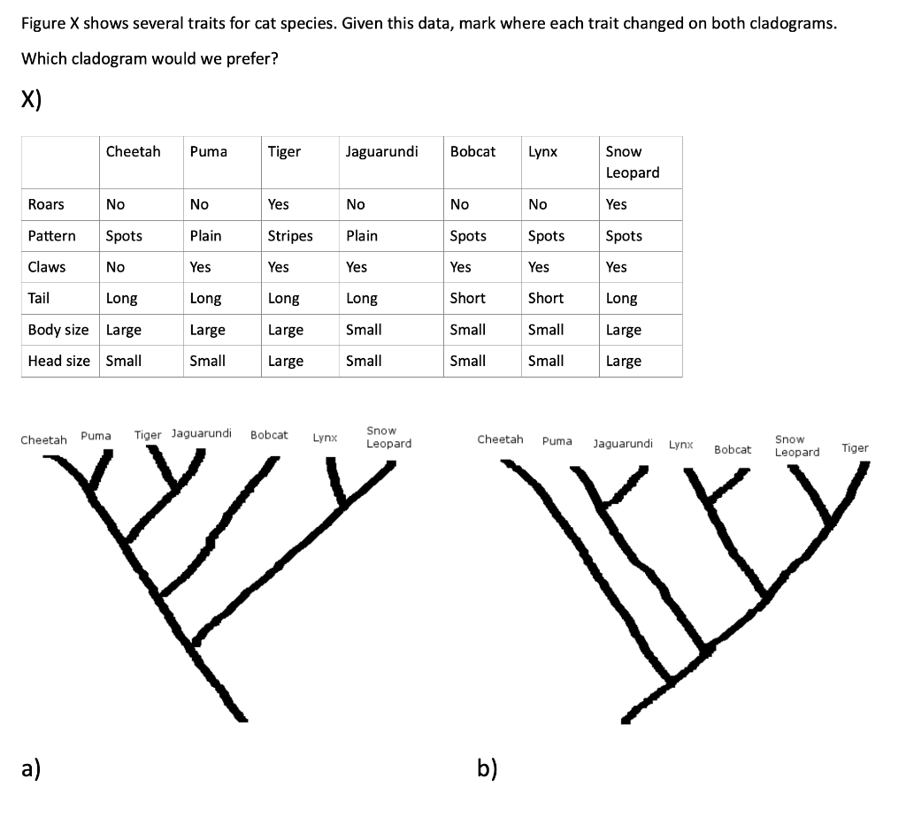 Solved Figure X shows several traits for cat species. Given | Chegg.com