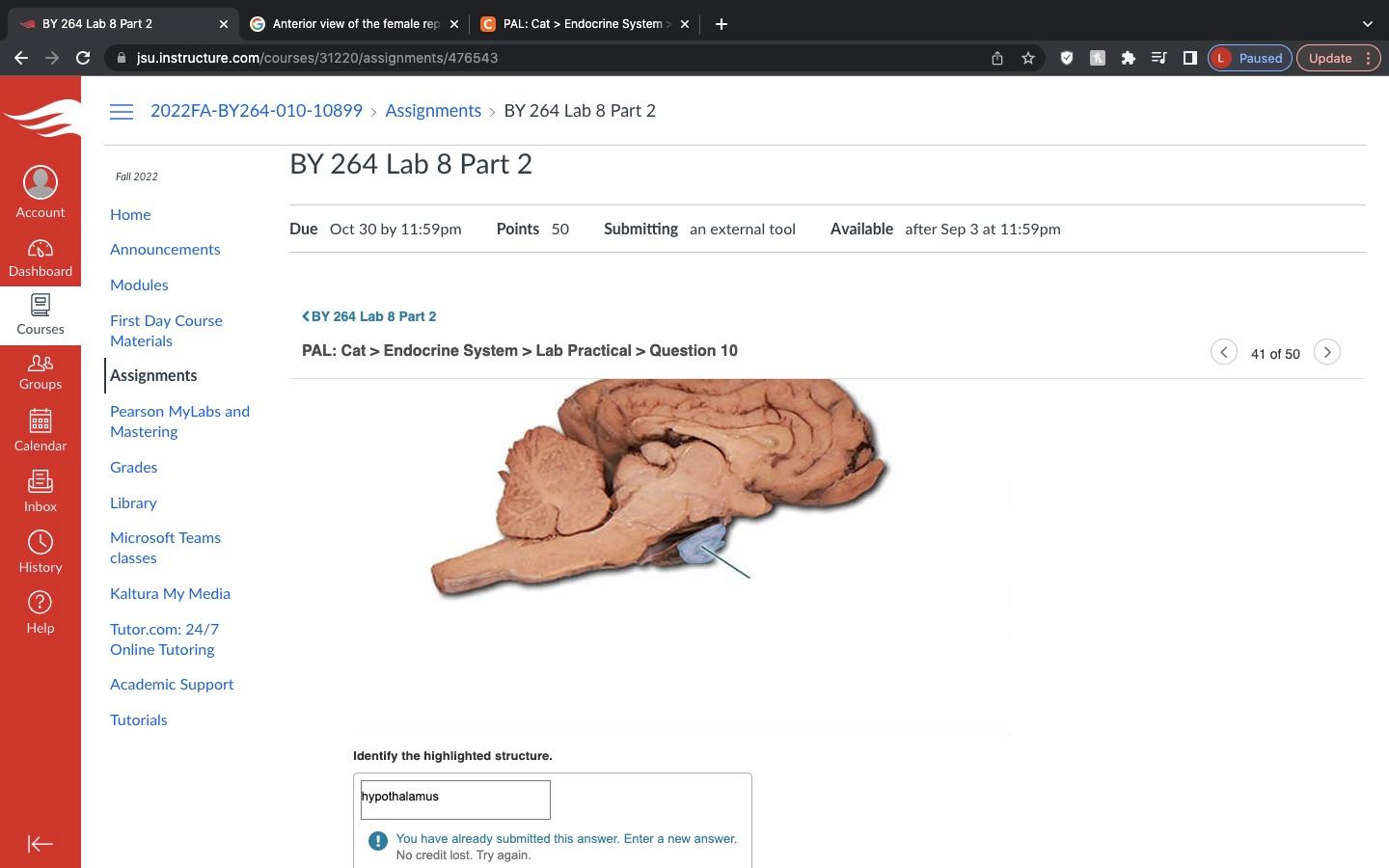 Solved Endocrine System > Lab Practical > Question 10 | Chegg.com