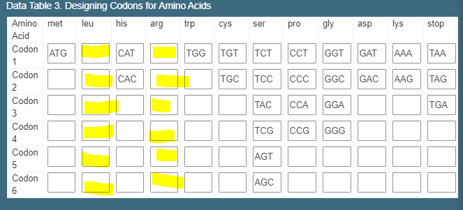 Solved cys ser pro gly asp Data Table 3. Designing Codons | Chegg.com