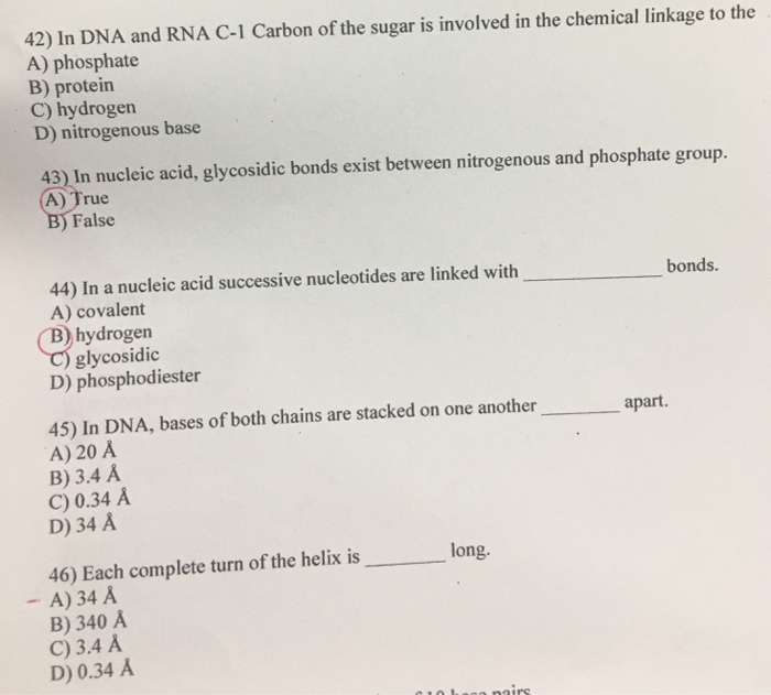 Solved 4) The two chains in a double-stranded nucleic acid | Chegg.com