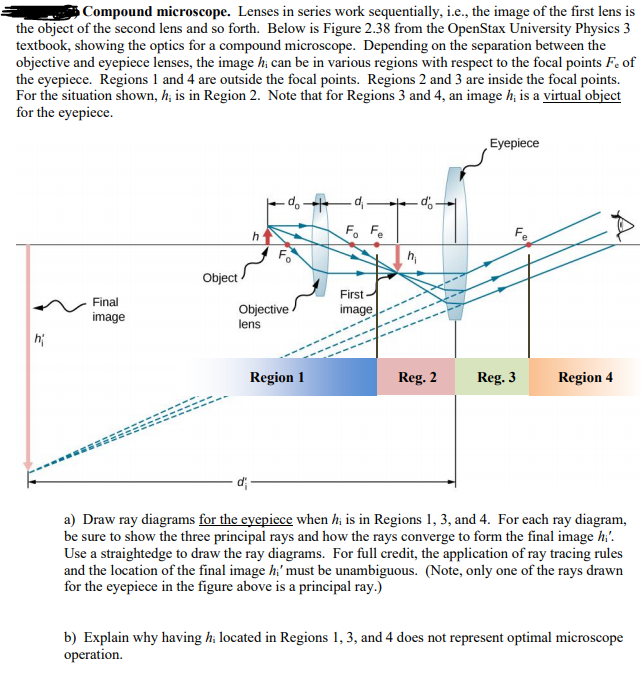 Solved Compound microscope. Lenses in series work | Chegg.com