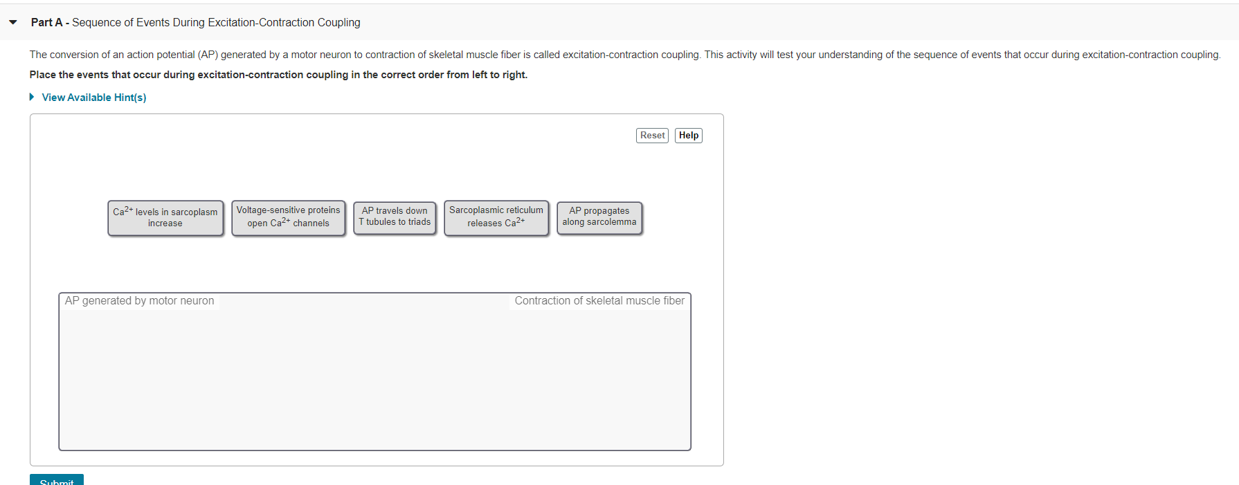 Solved Part A - Sequence of Events During Excitation | Chegg.com