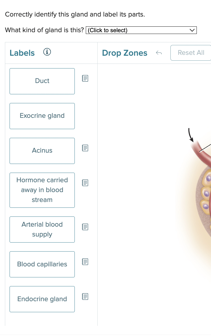 Solved Correctly identify this gland and label its | Chegg.com