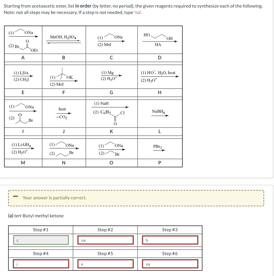 Solved Starting from acetoacetic ester, list in order (by | Chegg.com