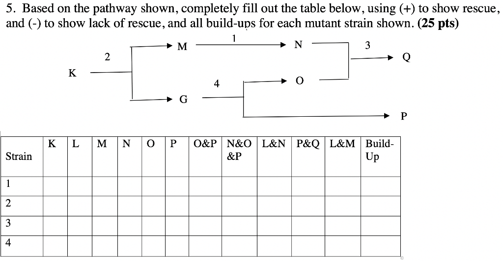 5. Based on the pathway shown, completely fill out | Chegg.com