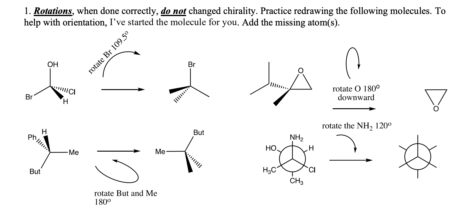 Solved 1. Rotations, when done correctly, do not changed | Chegg.com