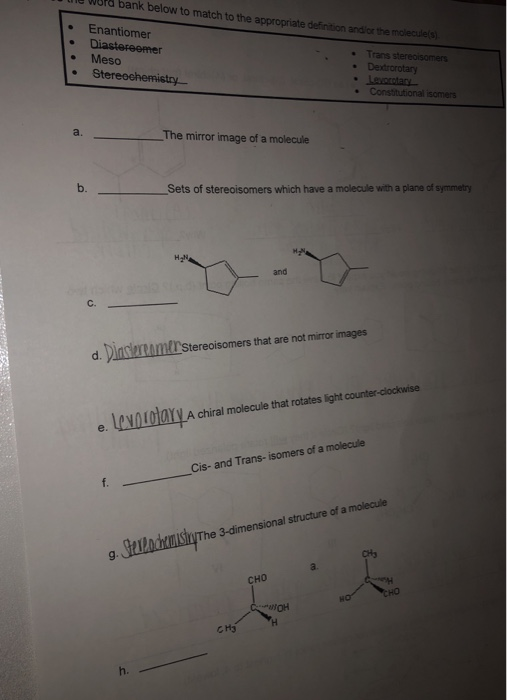 Solved Wra bank below to match to the appropriate definition | Chegg.com