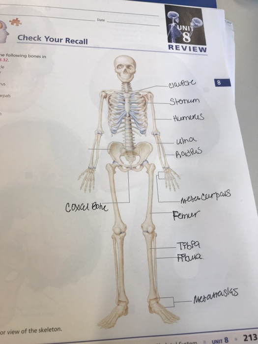 Solved Date UNIT 8 REVIEW Check Your Recall e following | Chegg.com