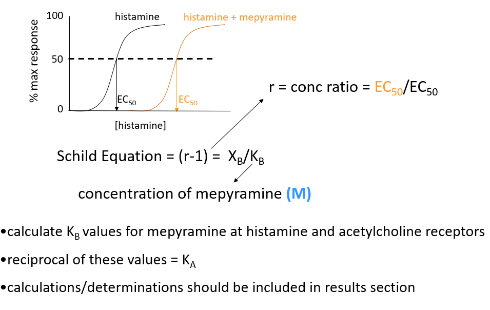 Using the data provided, please help me understand | Chegg.com