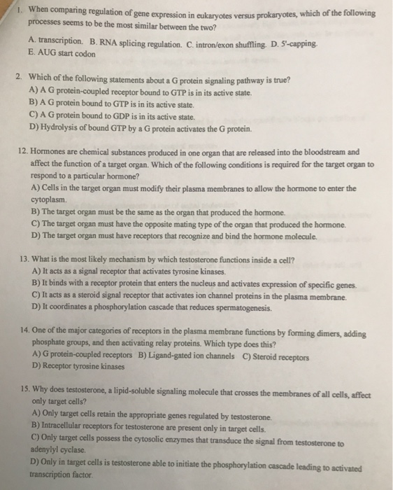 Solved 1. When comparing regulation of gene expr processes | Chegg.com