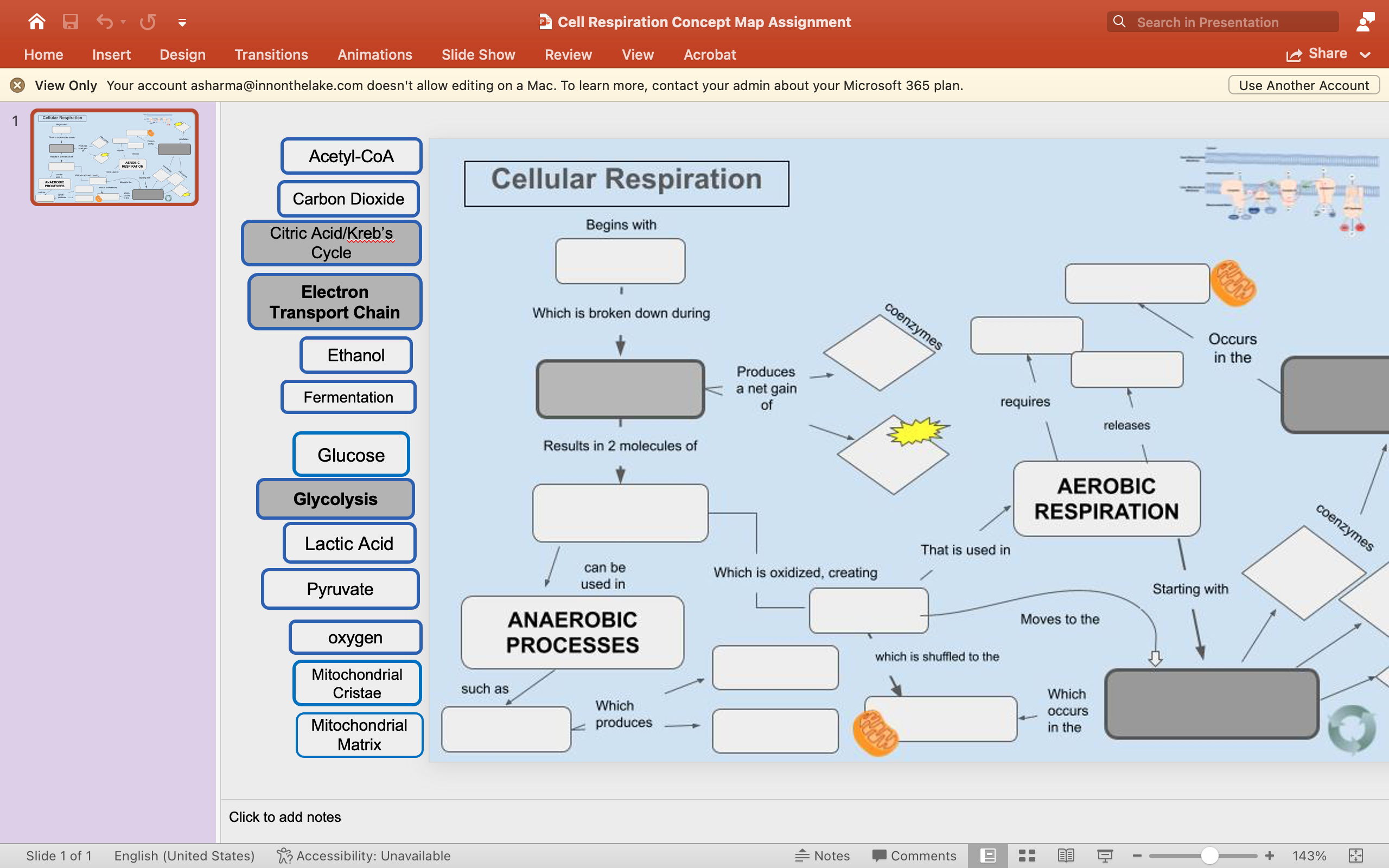 Solved Transitions Animations Slide Show Review Q Search in | Chegg.com