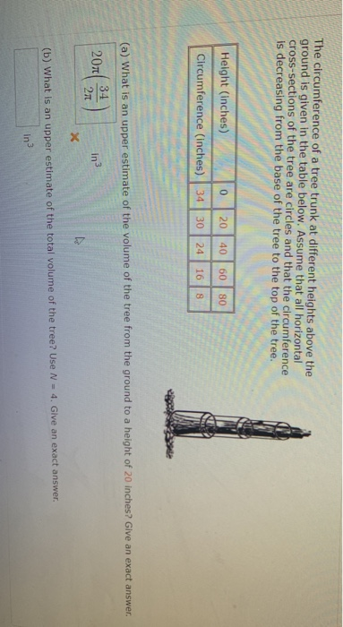 Solved The circumference of a tree trunk at different | Chegg.com