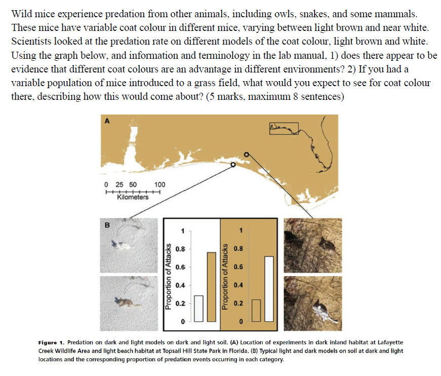 Solved Wild mice experience predation from other animals, | Chegg.com