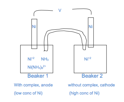 Solved Ni2+ and ammonia readily form the complex ion | Chegg.com