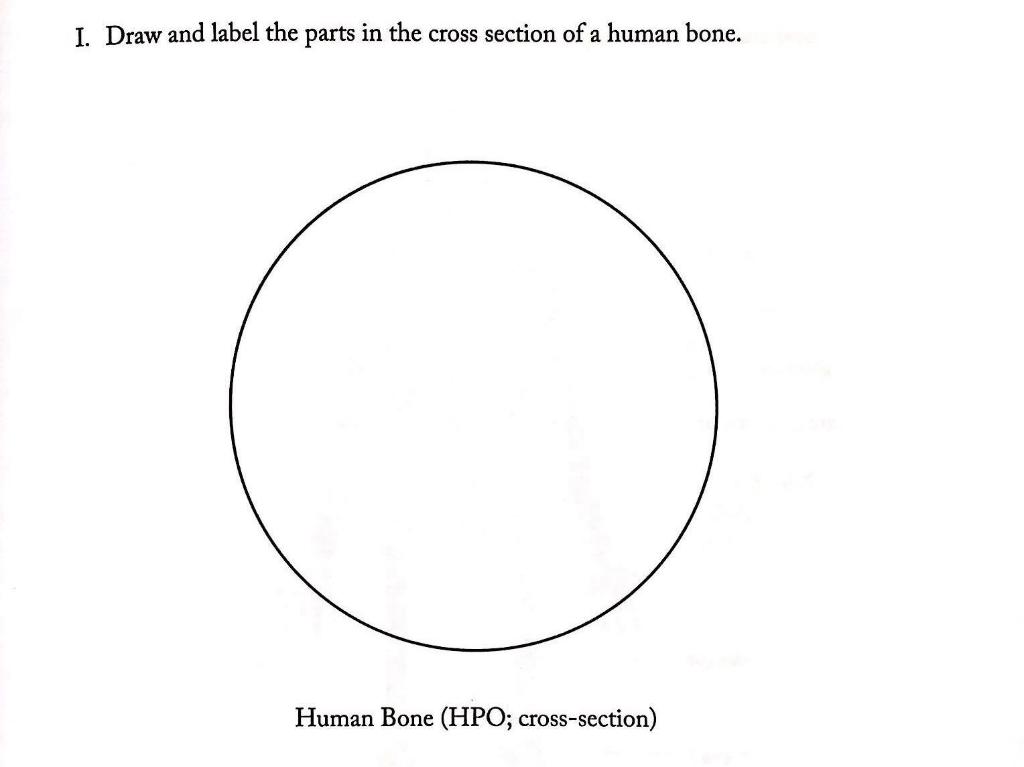 Solved I. Draw and label the parts in the cross section of a | Chegg.com