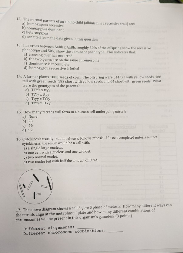 Solved 12. The normal parents of an albino child (albinism | Chegg.com