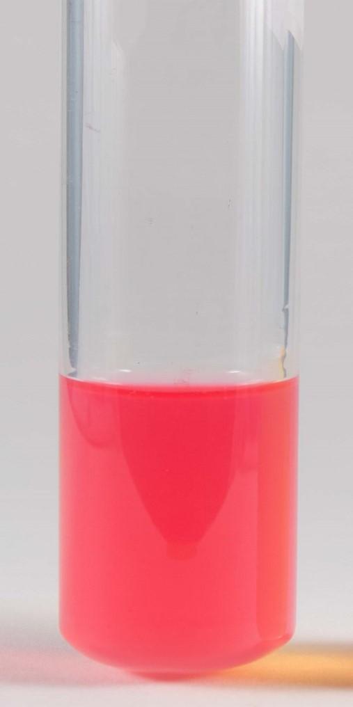 Solved Procedure that is actually followed for the test and | Chegg.com