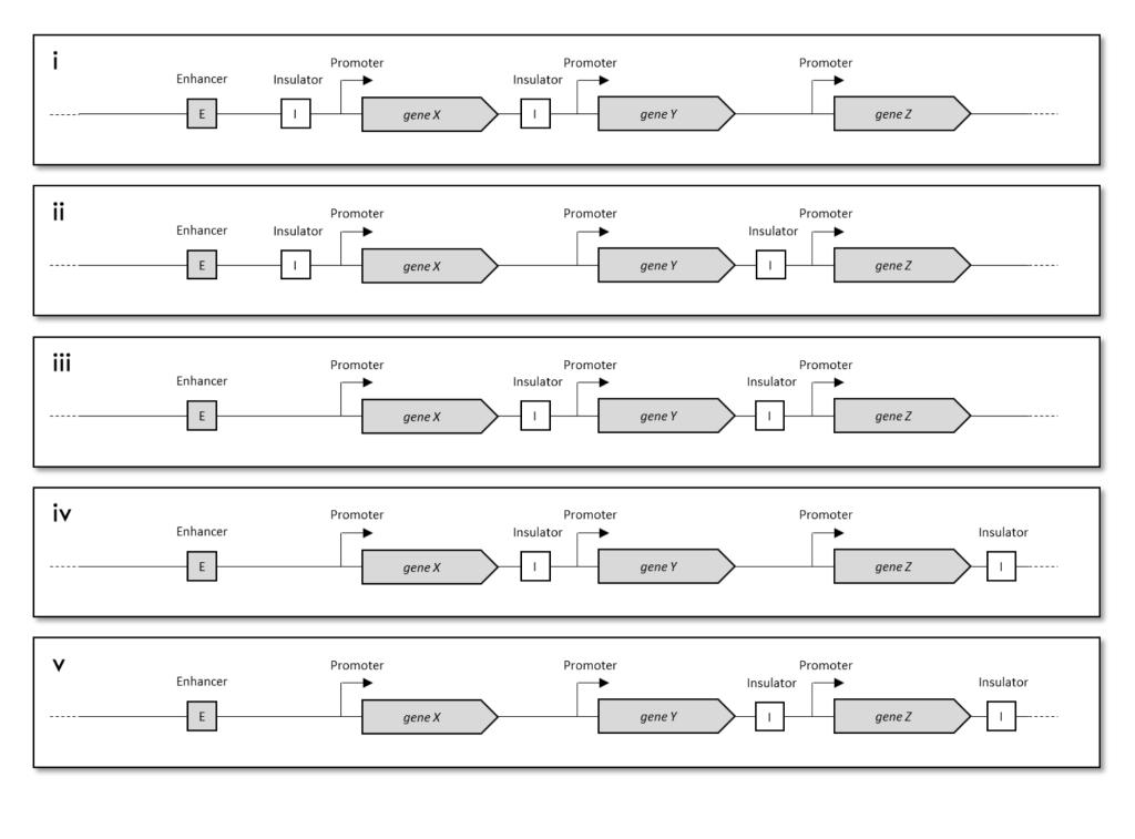Solved Panels (i) to (v) above show five possible | Chegg.com