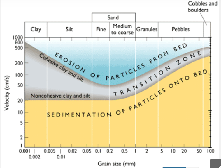 Solved Given the very fine-grained nature of mudstones, | Chegg.com