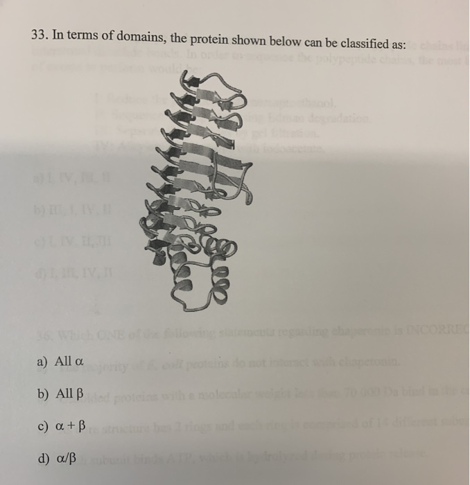 Solved 33. In terms of domains, the protein shown below can | Chegg.com