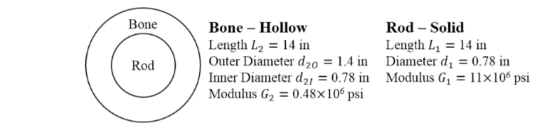 Solved For badly broken bones, a rod can be inserted inside | Chegg.com