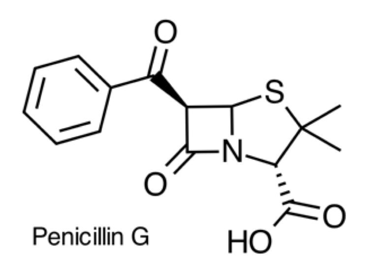 Solved S -N. Penicillin G НО | Chegg.com