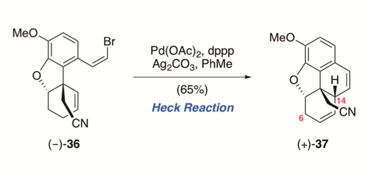Solved What is the mechanism of this scheme reaction? Please | Chegg.com