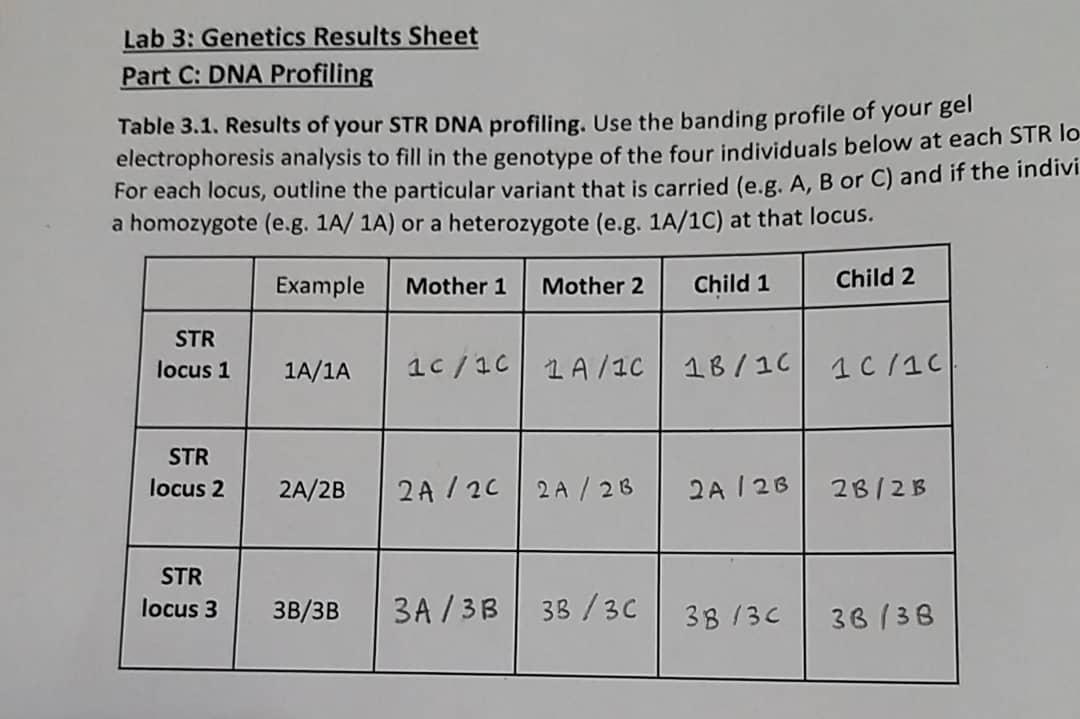 Solved Lab 3: Genetics Results Sheet Part C: DNA Profiling | Chegg.com
