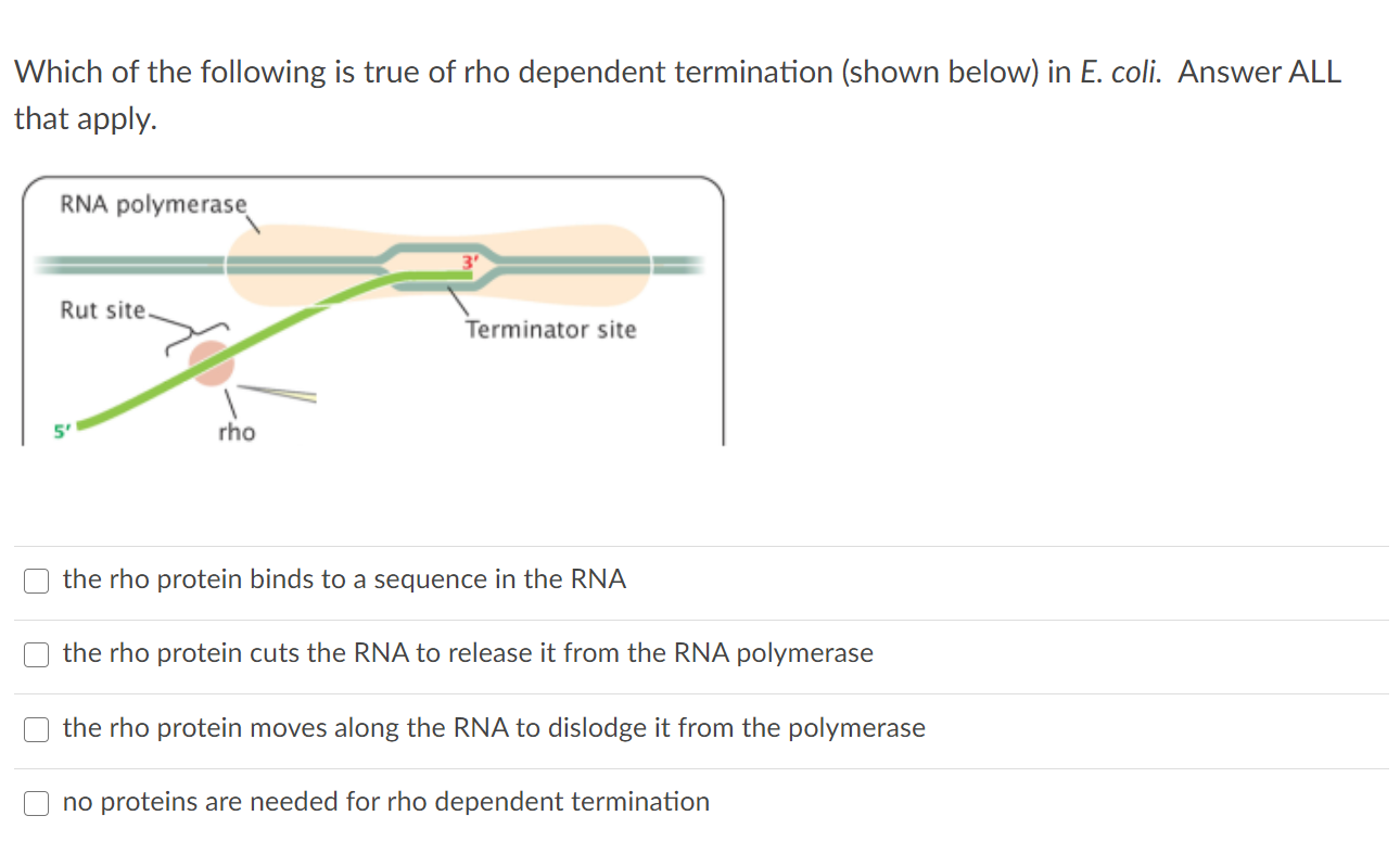 Solved Which of the following is true of rho dependent | Chegg.com