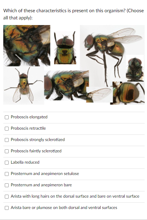 Solved Which of these characteristics is present on this | Chegg.com